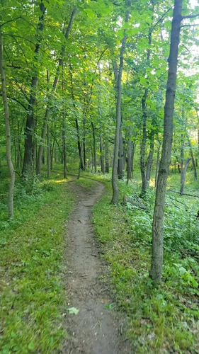 2023 Best Walking Trails in George Wyth State Park | AllTrails