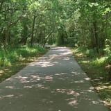 Four Mile Creek Greenway, North Carolina - 674 Reviews, Map | AllTrails