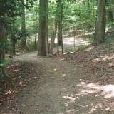 Four Mile Creek Greenway, North Carolina - 674 Reviews, Map | AllTrails