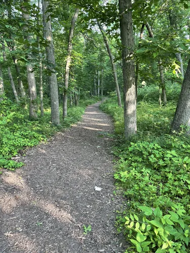 Best Hikes and Trails in Jester Park | AllTrails