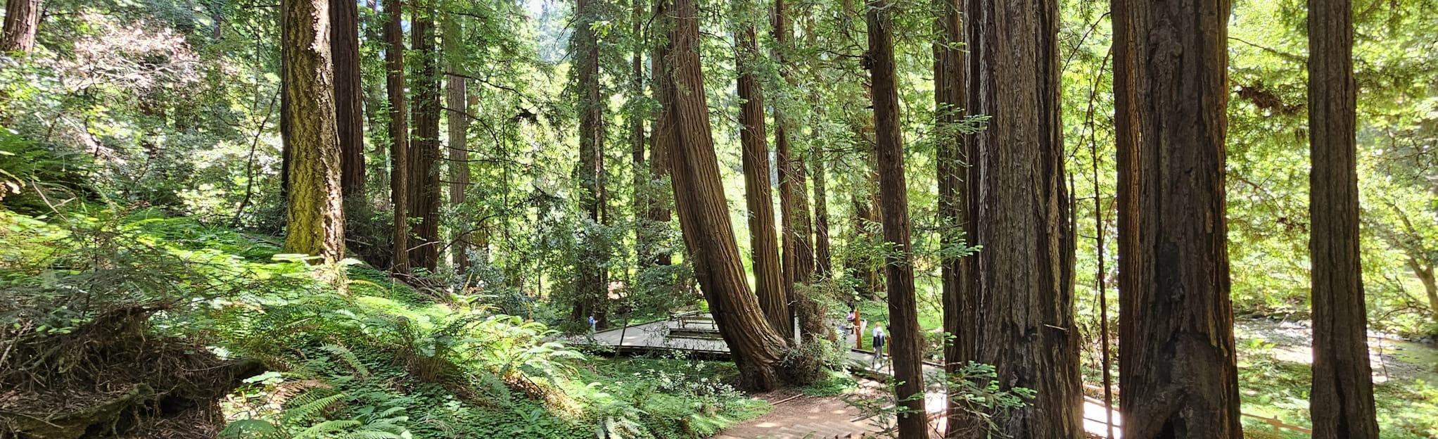 Fern Creek, Lost, and Canopy Trail Loop, California - 2,179 Reviews ...