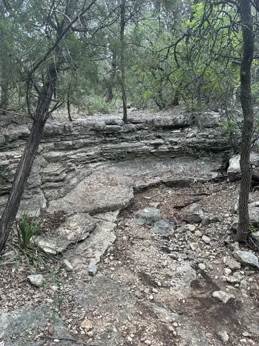 Best Hikes and Trails in Madla Park | AllTrails