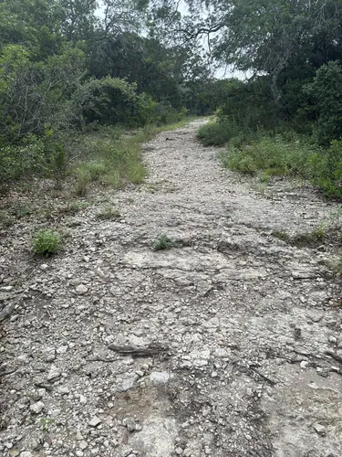 Best Hikes and Trails in Madla Park | AllTrails