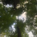 Waterloo-Pinckney Trail, Michigan - 473 Reviews, Map | AllTrails