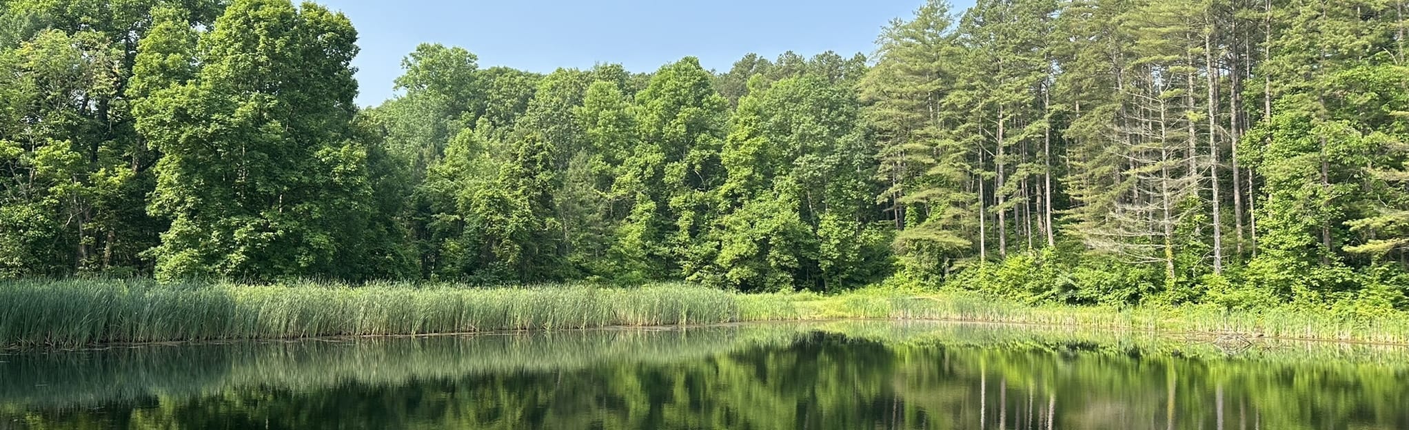 Holler Collar Trail: 46 Reviews, Map - Ohio | AllTrails