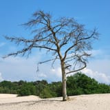 Wandering on the Hill Ridge, Utrecht, Netherlands - 6 Reviews, Map ...