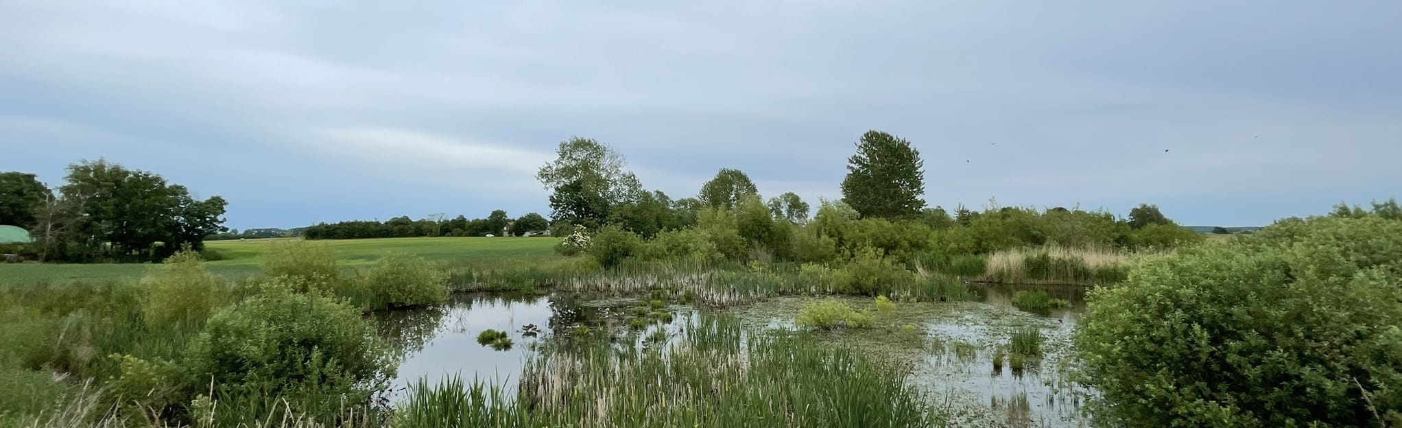 Vejby - Blå Kløversti, Capital Region of Denmark, Denmark - 5 Reviews ...