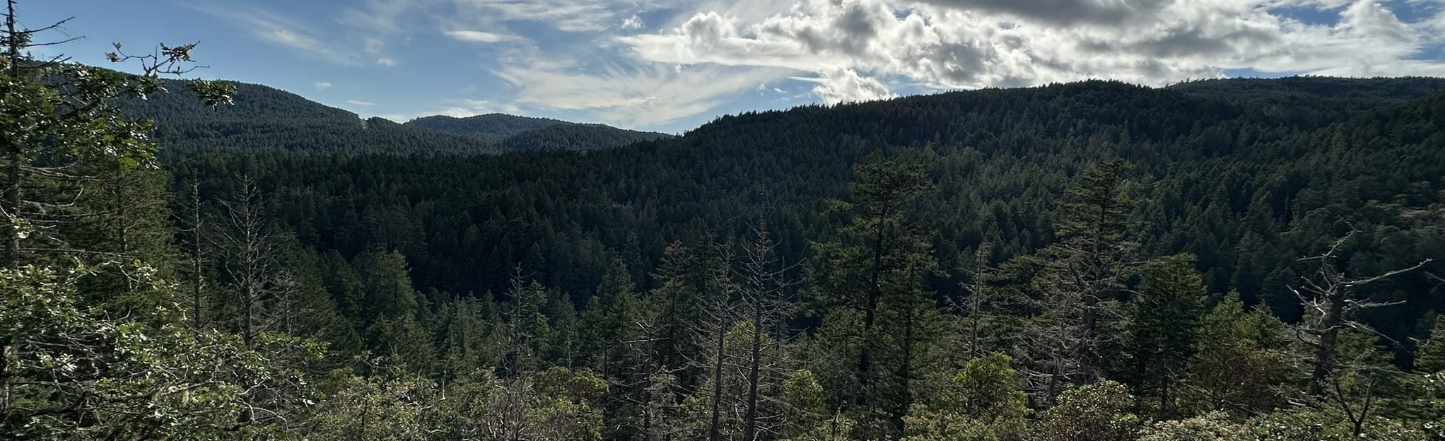 Prospector Trail to Viewpoint, British Columbia, Canada - 146 Reviews ...