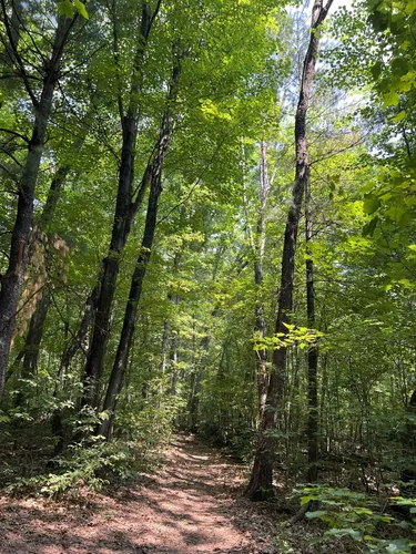 Best Hikes and Trails in Wisconsin Dells | AllTrails