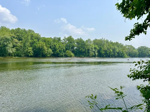 Best Hikes and Trails in Shannondale Springs Wildlife Management Area ...