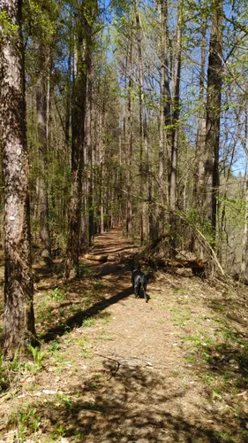 Best Walking Trails in Piper | AllTrails