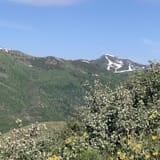 Big Mountain via Great Western Trail, Utah - 245 Reviews, Map | AllTrails