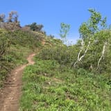 Big Mountain via Great Western Trail, Utah - 275 Reviews, Map | AllTrails