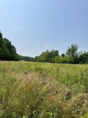 Best Hikes and Trails in Port Tobacco River Park | AllTrails