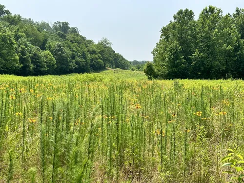 Best Hikes and Trails in Port Tobacco River Park | AllTrails