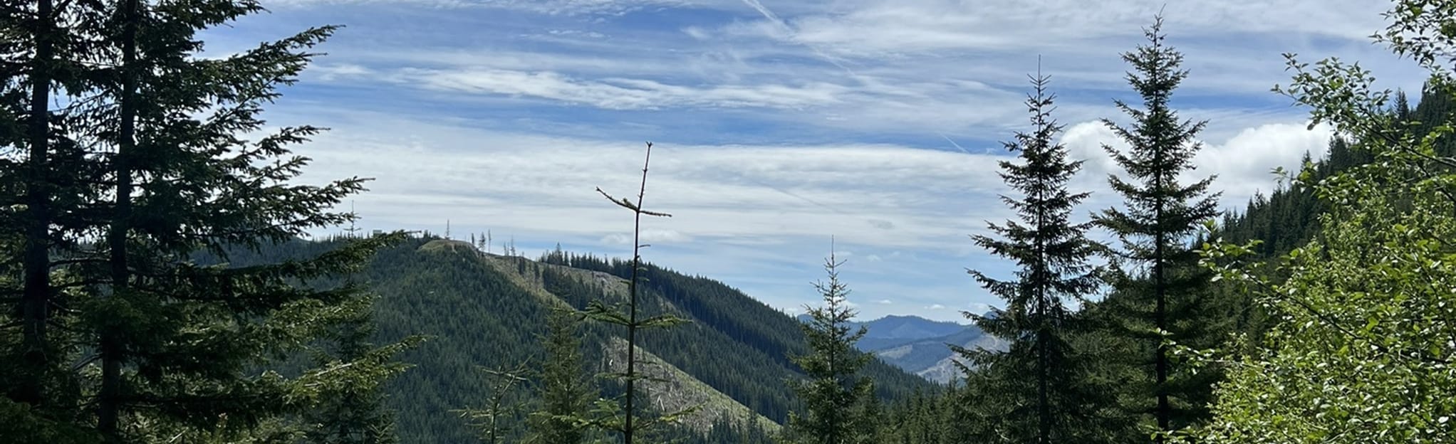 High Hut to Lower Yurt Trail, Washington - 14 Reviews, Map | AllTrails