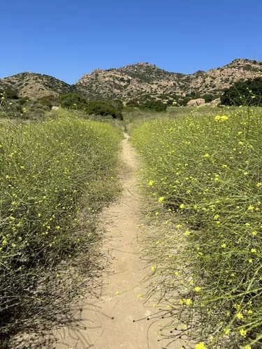 Best Hikes and Trails in Santa Susana Pass State Historic Park | AllTrails