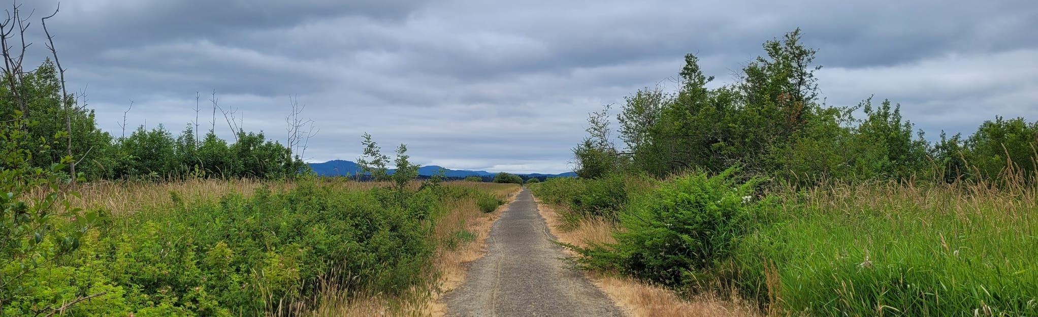 Fern Ridge Island, Oregon - 13 Reviews, Map | AllTrails