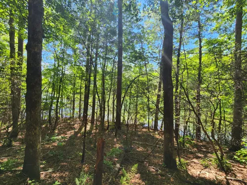 Best Hikes and Trails in Hanging Dog Recreation Area | AllTrails