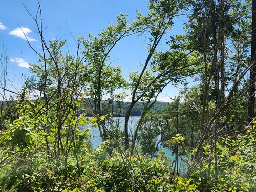 Best Moderate Trails in Hanging Dog Recreation Area | AllTrails