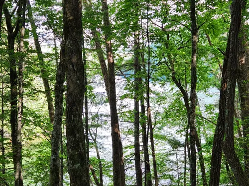 Best Hikes and Trails in Hanging Dog Recreation Area | AllTrails