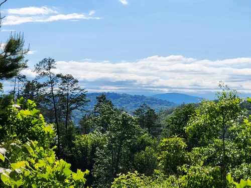 Best Hikes and Trails in Hanging Dog Recreation Area | AllTrails