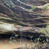 Hazard Cave and Natural Bridge Trail, Tennessee - 347 Reviews, Map ...