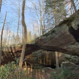 Hazard Cave and Natural Bridge Trail, Tennessee - 347 Reviews, Map ...