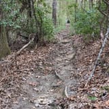 Hazard Cave and Natural Bridge Trail, Tennessee - 347 Reviews, Map ...