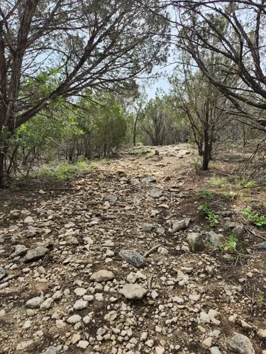 Best Hikes and Trails in Parrie Haynes Ranch | AllTrails