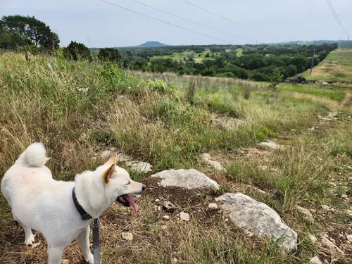 Best Hikes and Trails in Parrie Haynes Ranch | AllTrails