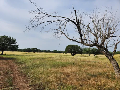 Best Hikes and Trails in Parrie Haynes Ranch | AllTrails