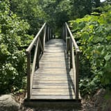 Martell Forest Loop, Indiana - 401 Reviews, Map | AllTrails