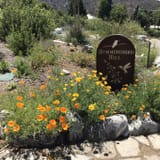 Oak Glen Preserve Trails, California - 648 Reviews, Map | AllTrails