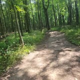 Hartwood Acres, Pennsylvania - 641 Reviews, Map | AllTrails