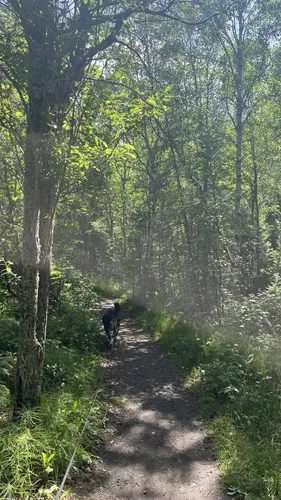 Best Hikes and Trails in Carson-Pegasus Provincial Park | AllTrails