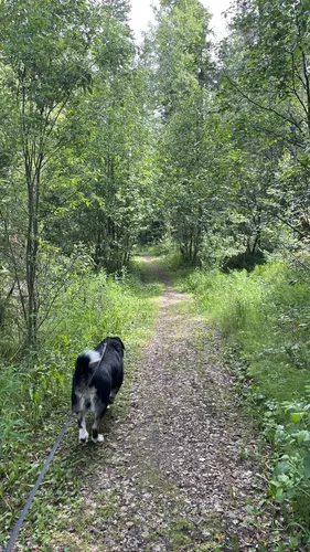 Best Hikes and Trails in Carson-Pegasus Provincial Park | AllTrails