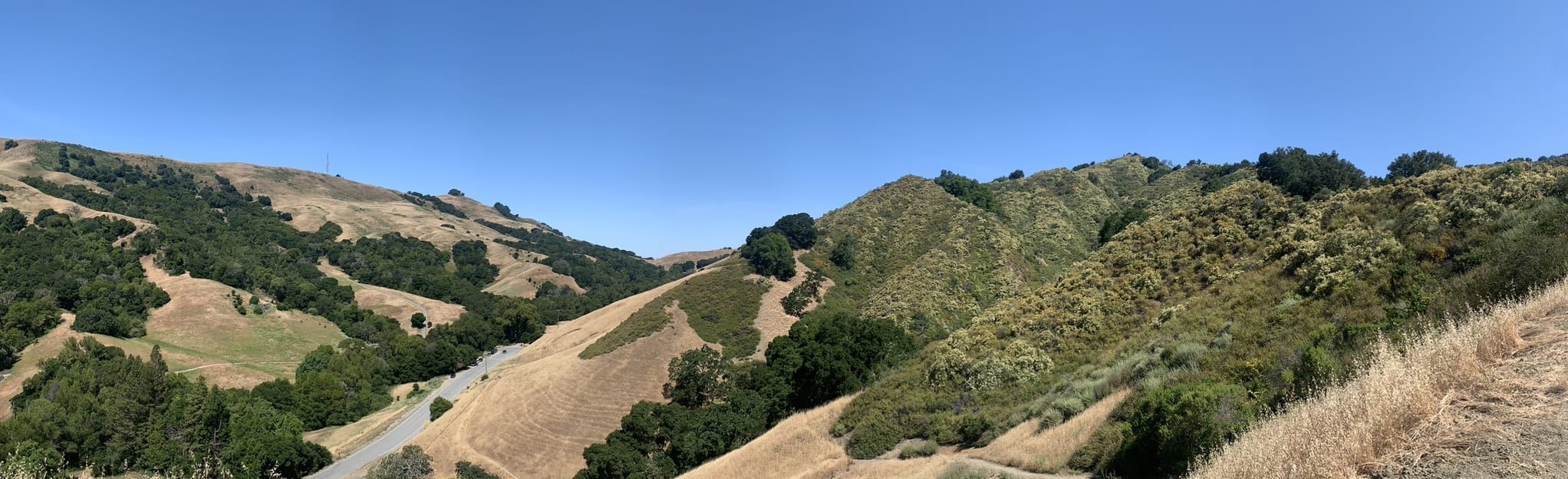 Mahogany and Chamise Loop, California - 20 Reviews, Map | AllTrails