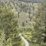 Ben Tyler Trail, Colorado - 590 Reviews, Map | AllTrails