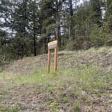 Ben Tyler Trail, Colorado - 590 Reviews, Map | AllTrails