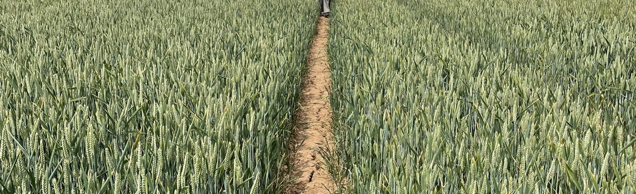 Rushock, Broad Common and Elmbridge Circular, Worcestershire, England ...