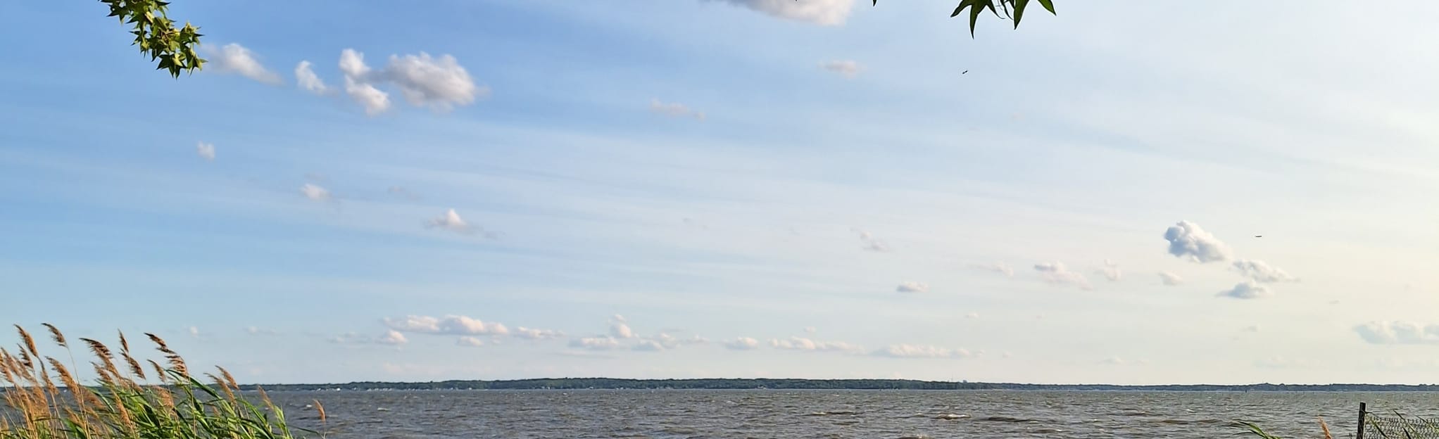 Fort Howard Park Trail: 152 Reviews, Map - Maryland | AllTrails