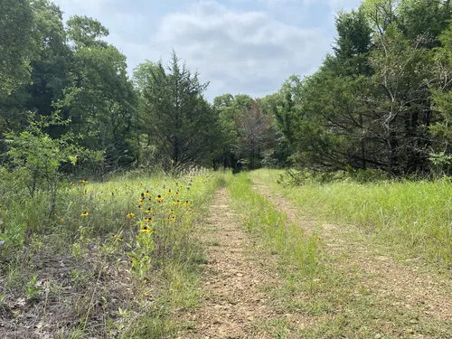 Best Hikes and Trails in Pilot Point | AllTrails