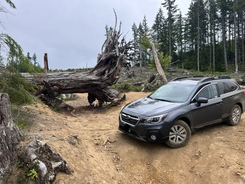 2023 Best 10 Off Road Driving Trails in Oregon | AllTrails