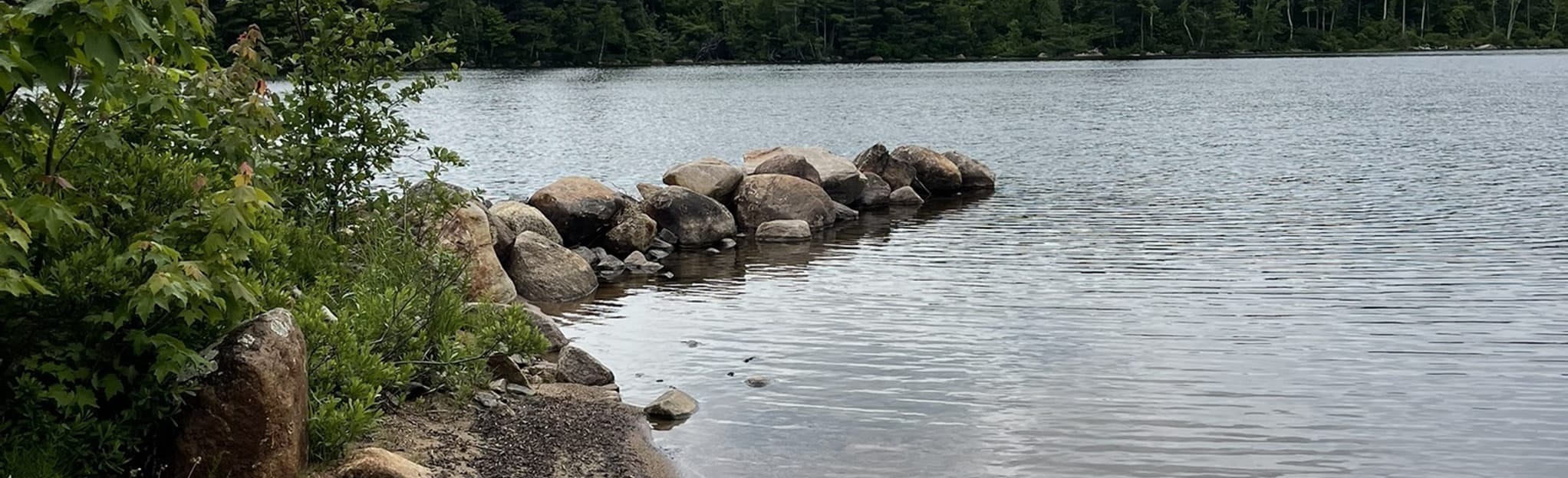 Taylor Pond Paddle Route, New York - 4 Reviews, Map | AllTrails