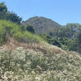 Highland Valley Trail, California - 583 Reviews, Map | AllTrails