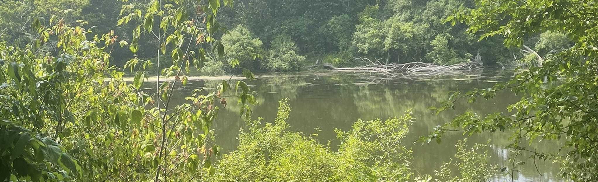 Red Oak Nature Center: Fox River Trail Loop: 198 fotos - Illinois ...