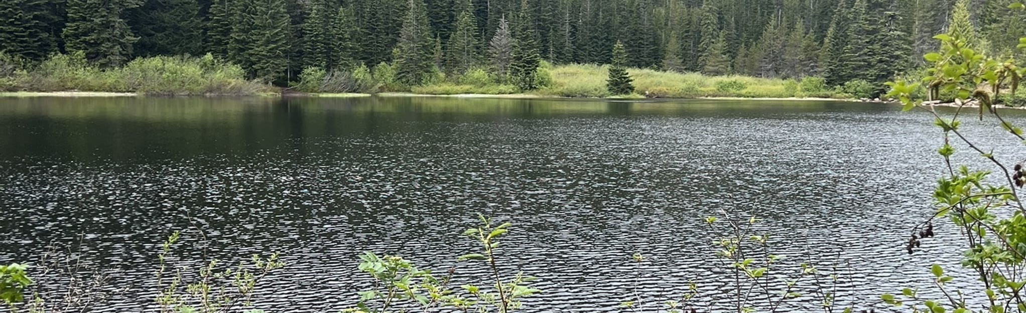 Mirror Lake Loop Trail: 5,114 Reviews, Map - Oregon | AllTrails