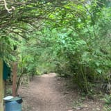 Weatherwax Trail, Washington - 294 Reviews, Map | AllTrails