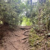 Weatherwax Trail, Washington - 294 Reviews, Map | AllTrails